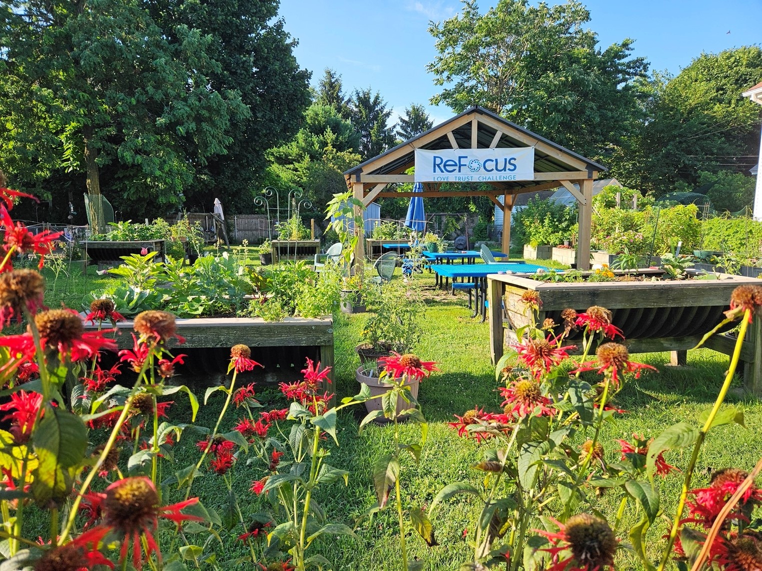 Turning the Focus On A Special Neighborhood Garden - The Providence Eye
